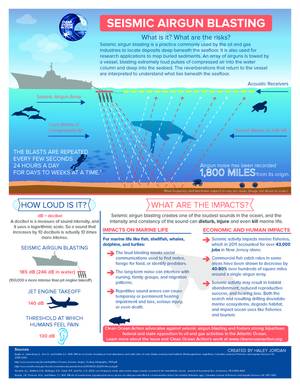 Clean Ocean Action: Seismic Airgun Blasting
