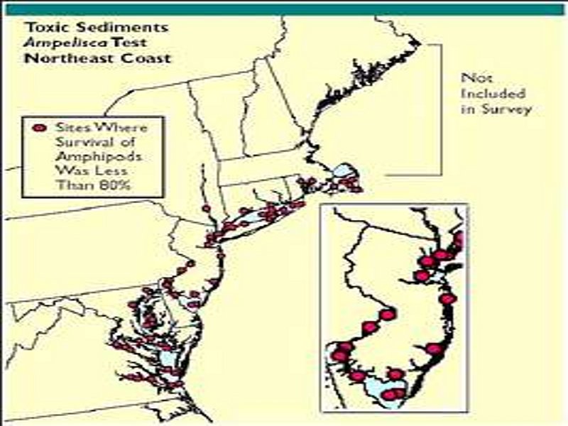 Clean Ocean Action: Sites of Contamination
